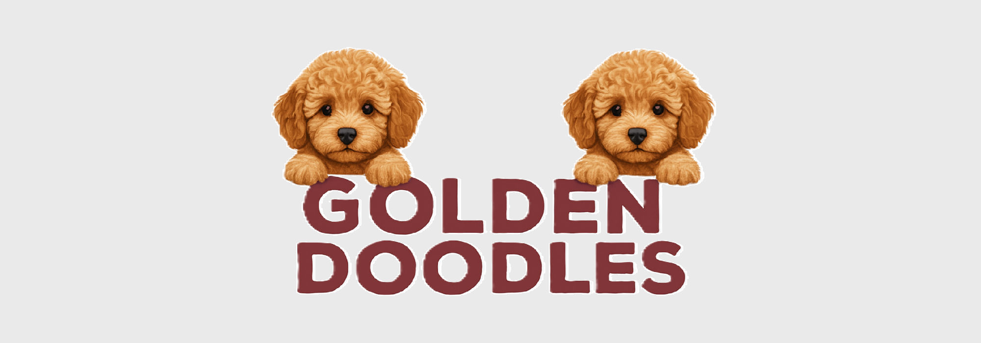Mini Goldendoodle Puppies & Adults for Sale | Doodle Doo Dogs